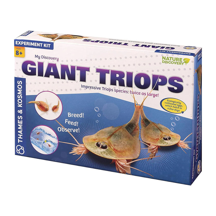 Giant Triops Kit - Raise Prehistoric Creatures - Shop Now